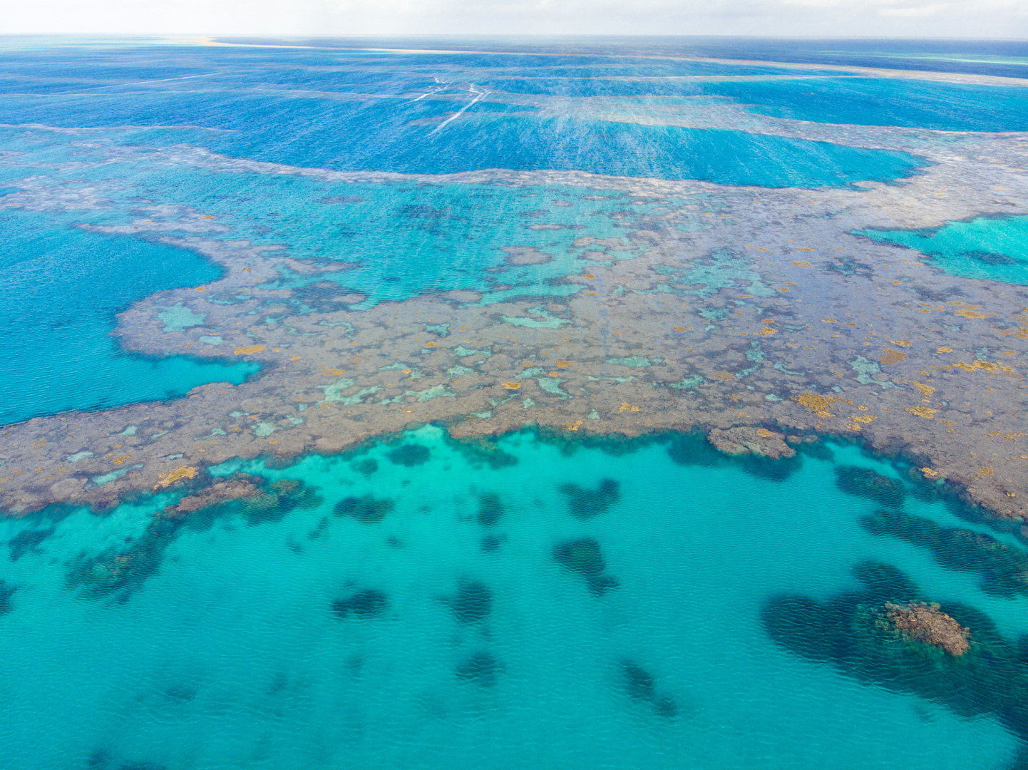 CWS-Reefsleep-Drone shot of reef_1920 – Journey Beyond